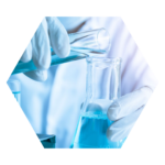 You First Services, Inc. - You First Services, Inc.